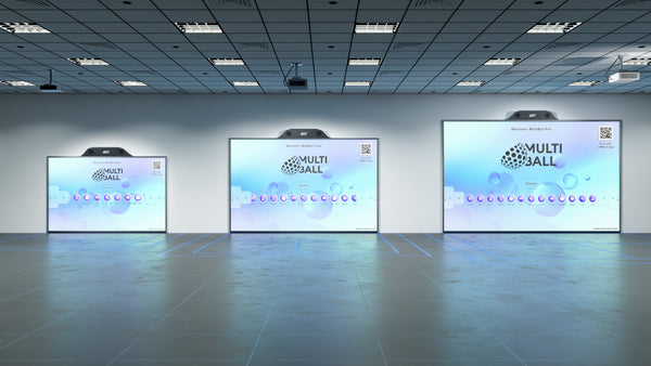 Interactive Sports Wall MultiBall - Hardware