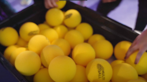 MultiBall Hardware - perfect fit for any location